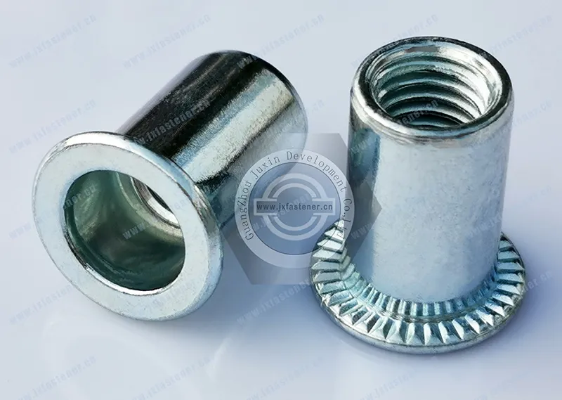 Flat Head Open end Round Body Plain Blind Rivet Nuts—Open End China