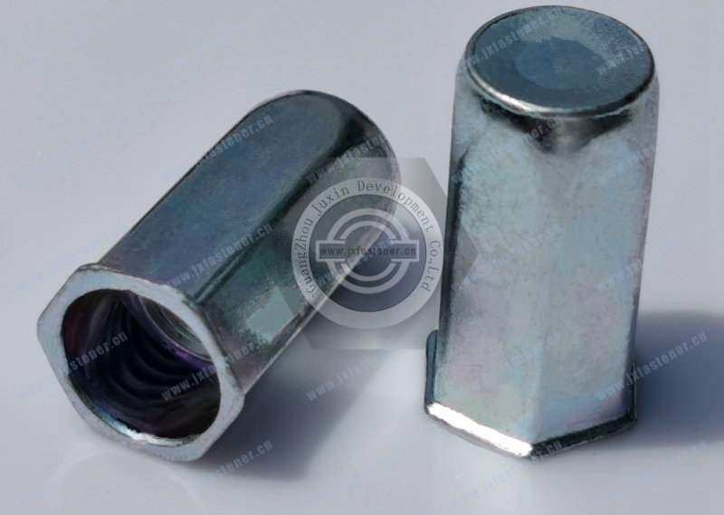 Thin head Closed end Hexagonal body blind rivet nuts --Closed end Wholesale