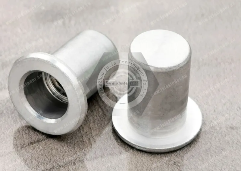 Flat Head Closed end Round Body Blind Rivet Nuts—Closed End Supplier