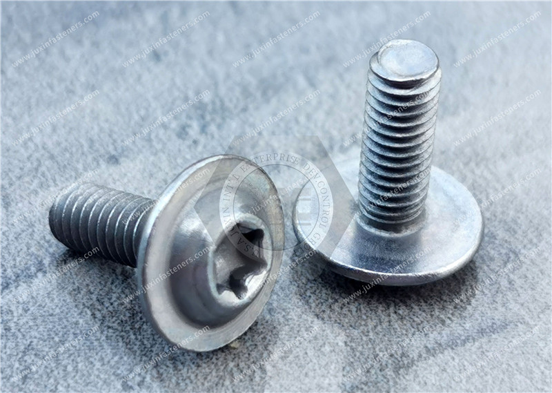Carbon Steel Round Washer Head with TORX PLUS Screw，Surface treatment ...