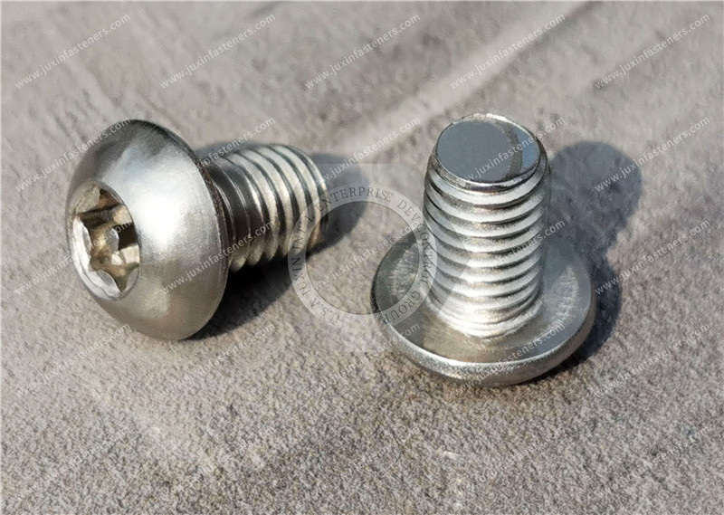 Stainless Steel Tamper-Resistant Button Head Torx Screws with pin ...