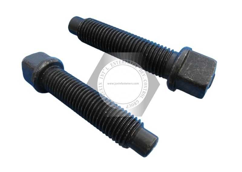 ODM. Square Head Bolts With Collar And Short Dog Point With Rounded End